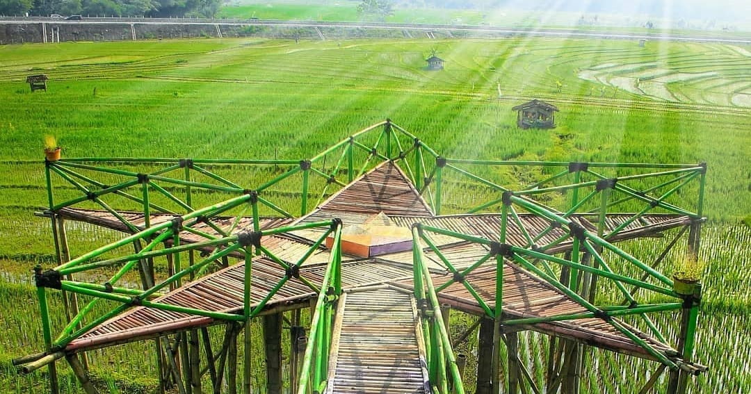 6 Wisata Tengah Sawah Terindah di Indonesia, Foto Jadi Estetik