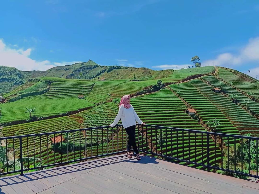 Info Lokasi dan Aktifitas Wisata Terasering Panyaweuyan Info Lokasi dan Aktifitas Wisata Terasering Panyaweuyan