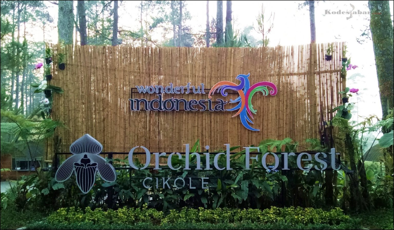 Orchid Forest Cikole : Daya Tarik, Harga Tiket, dan Aktifitas Wisata