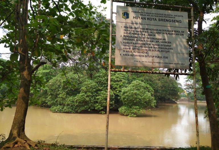 Daya Tarik dan Keindahan Wisata Hutan Kota Srengseng