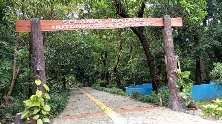 Daya Tarik dan Keindahan Wisata Hutan Kota Srengseng