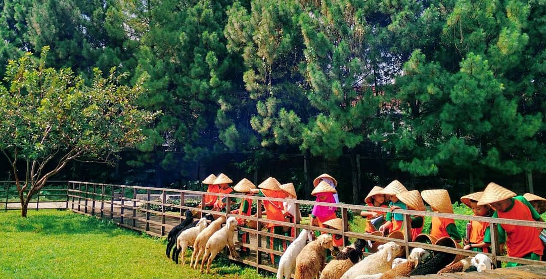 Info Lokasi dan Harga Tiket Terbaru Wisata Kuntum Farmfield