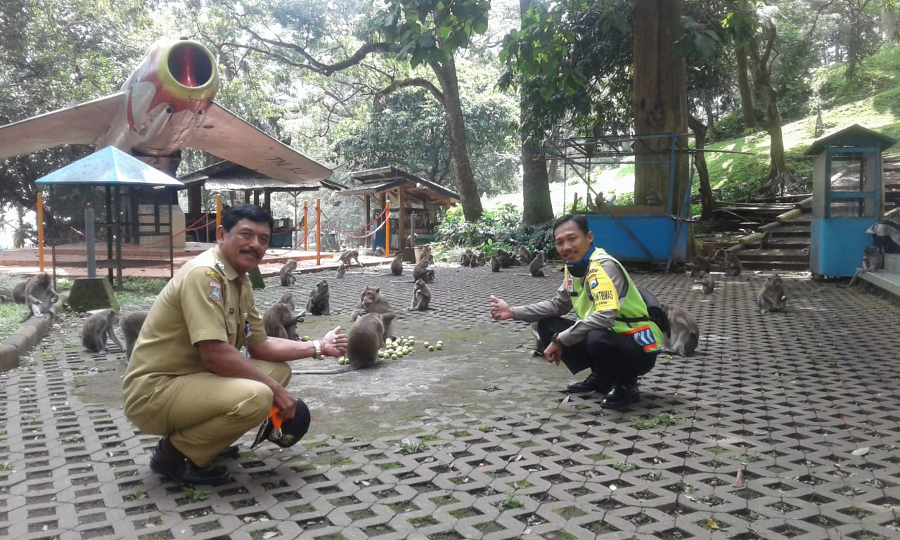 Info Lokasi, Harga Tiket, dan Jam Buka Taman Wisata Wendit