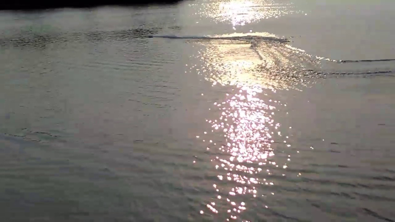 Info Lokasi, Daya Tarik dan Aktivitas Wisata Danau Citra 8 Jakarta