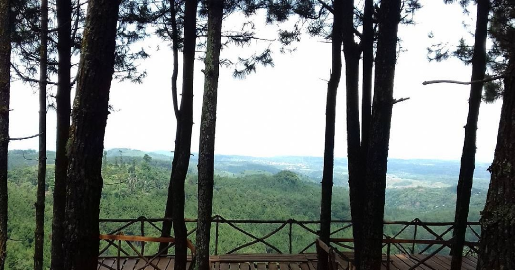 Info Lokasi, Keindahan, dan Daya Tarik Bukit Senyum Cipada