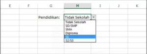 Cara Membuat Pilihan atau Drop Down List di Excel dengan Cepat