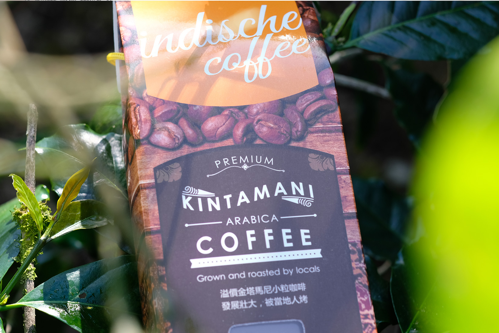 Daerah Penghasil Kopi Terbaik di Indonesia - Creative Blog And Tips