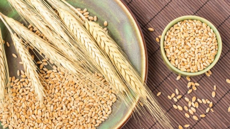 7 Rekomendasi Jenis Makanan yang Mengandung Karbo Kompleks