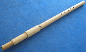 9 Alat Musik Tradisional Jambi yang Populer dan Menarik