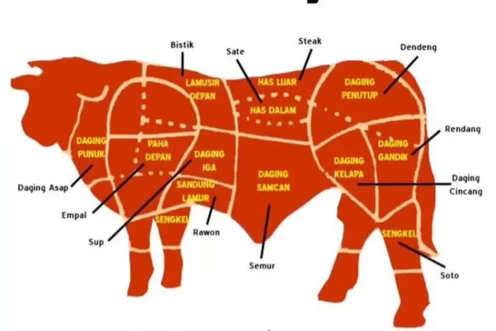 Cara Membersihkan Torpedo Sapi Untuk Si Pemula