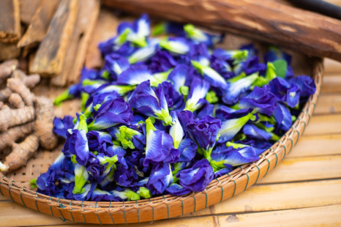 5 Khasiat Bunga Telang Bagi Kesehatan Tubuh