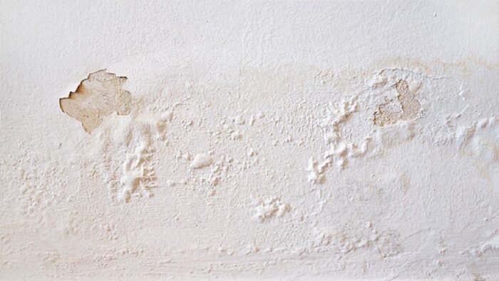 Cara Mengatasi Tembok Lembab yang Tepat